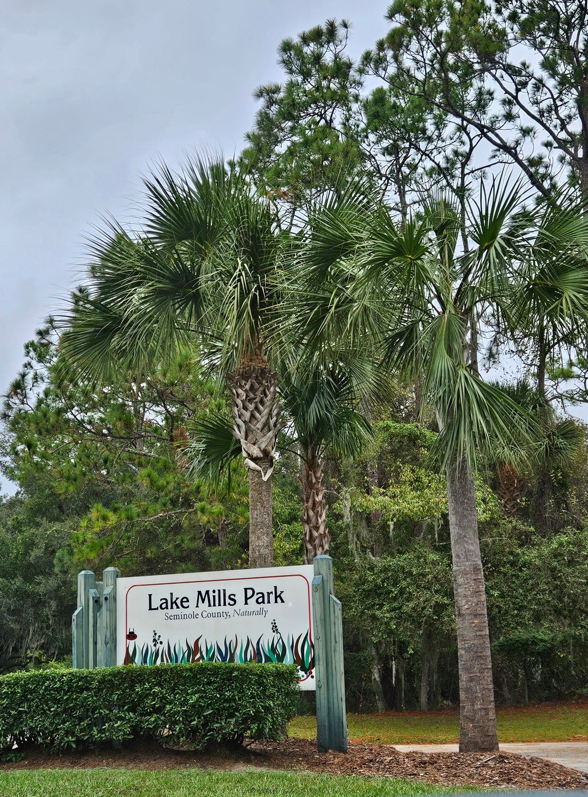 (8) Lake Mills Park